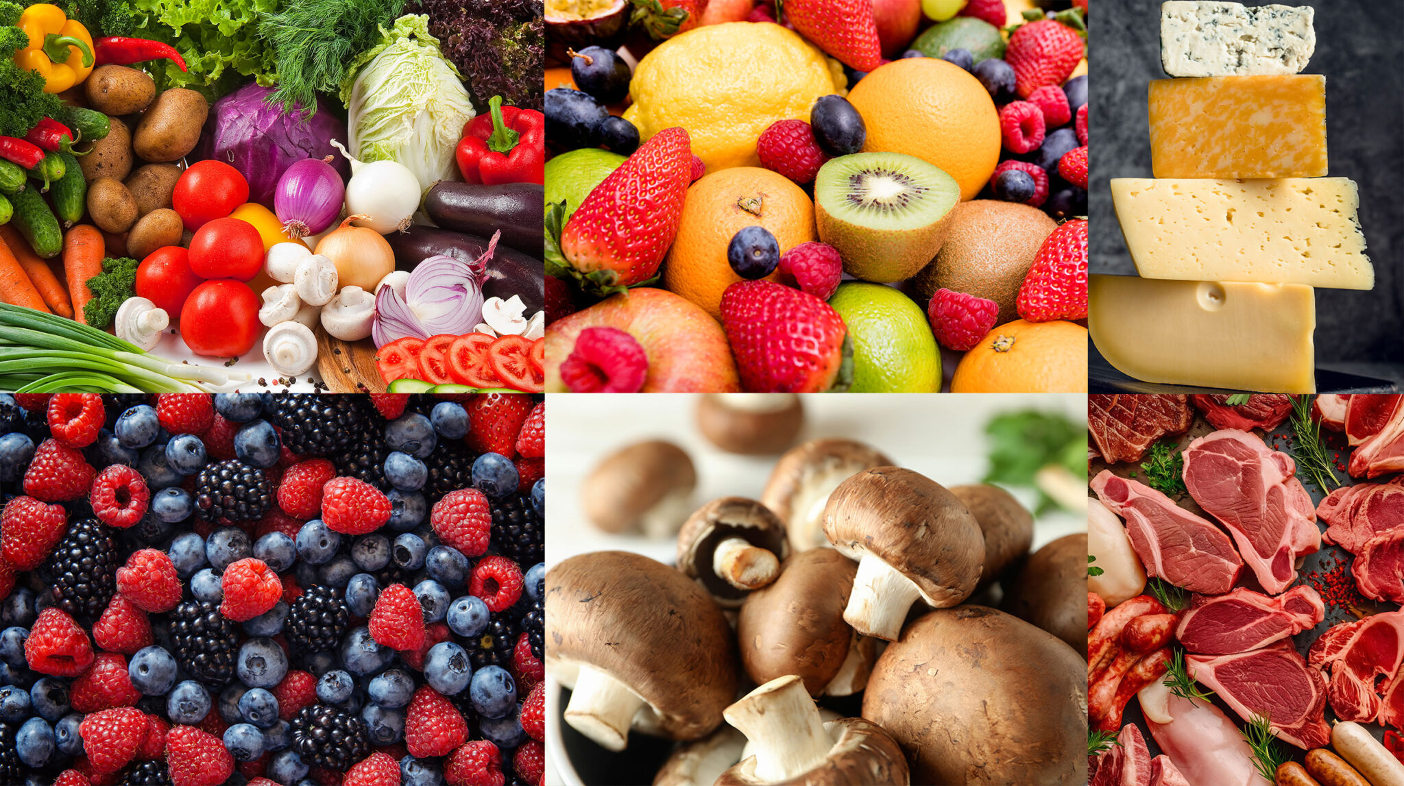 Precision meets efficiency: the intelligent IWS 2000 system scale ...