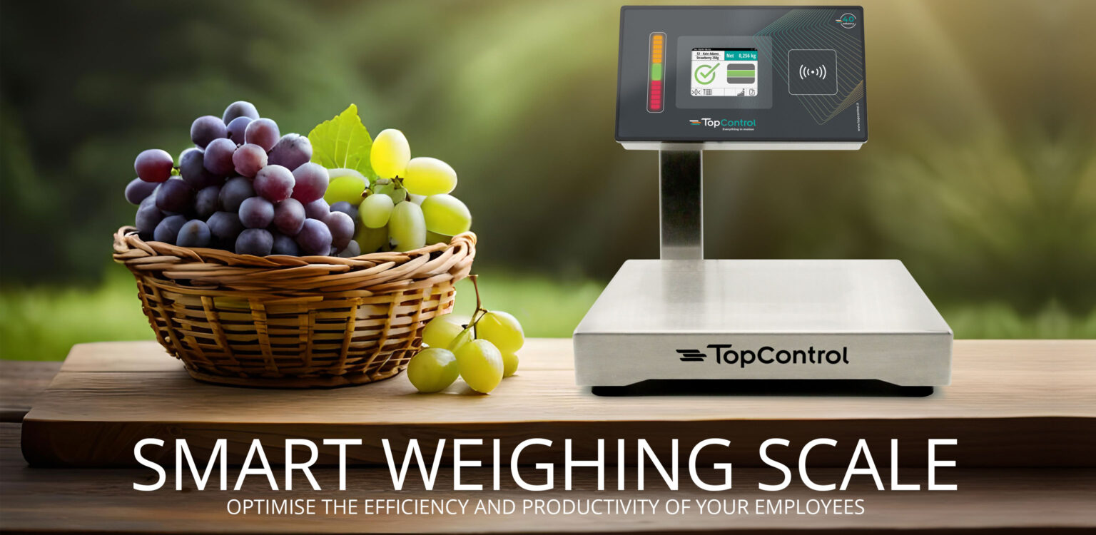 Intelligent weighing solution for table grapes – TopControl